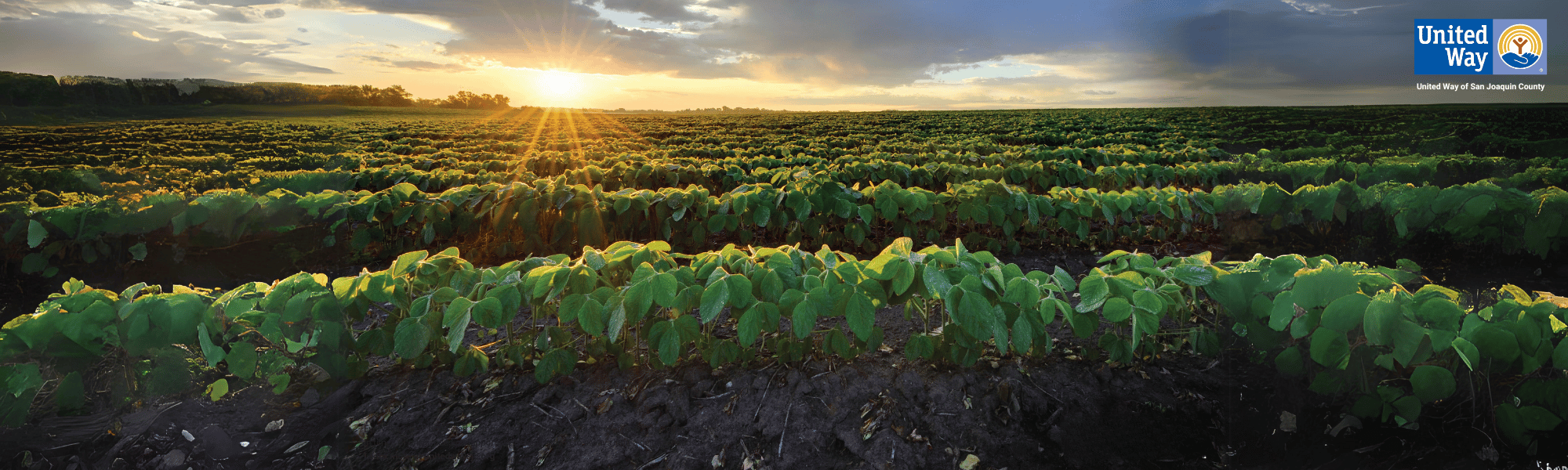 | United Way of San Joaquin County